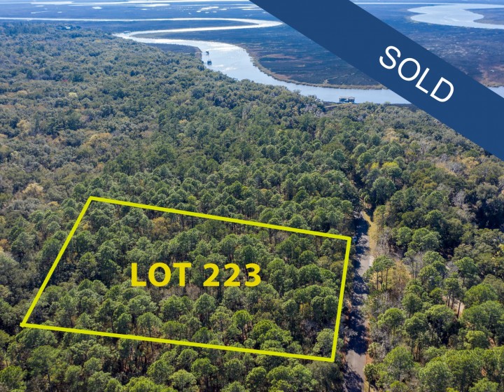 St Simons Island Real Estate Map - Saint Simons Island Homes For Sale ...